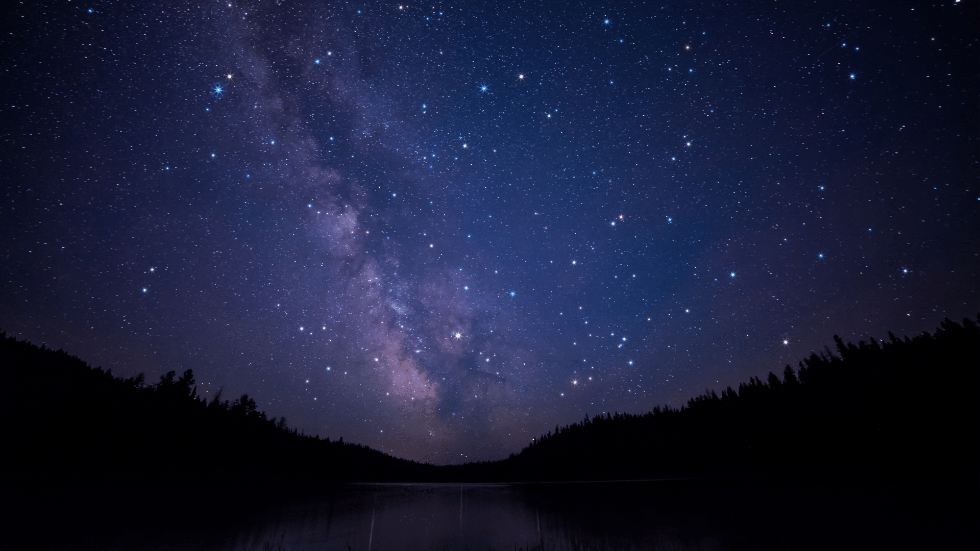 Bison Grid | Automotive Logistics Software Developers